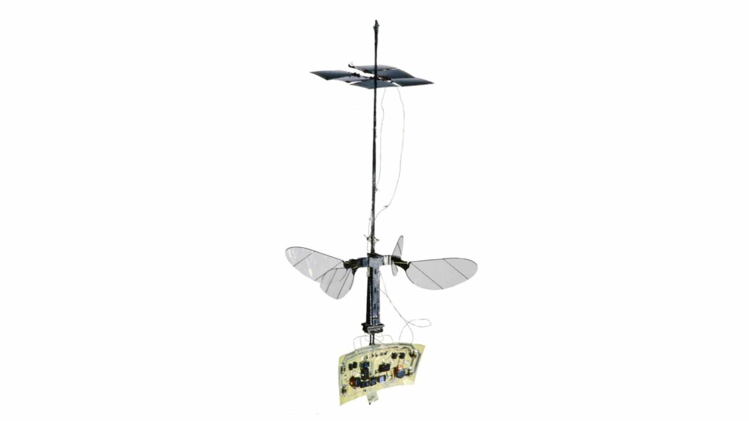 Robobee X-Wing, un insecte robotique qui vole à l’énergie solaire