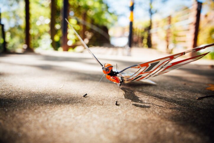 X-Fly - Révolution des drones biomimétiques par Bionic Bird