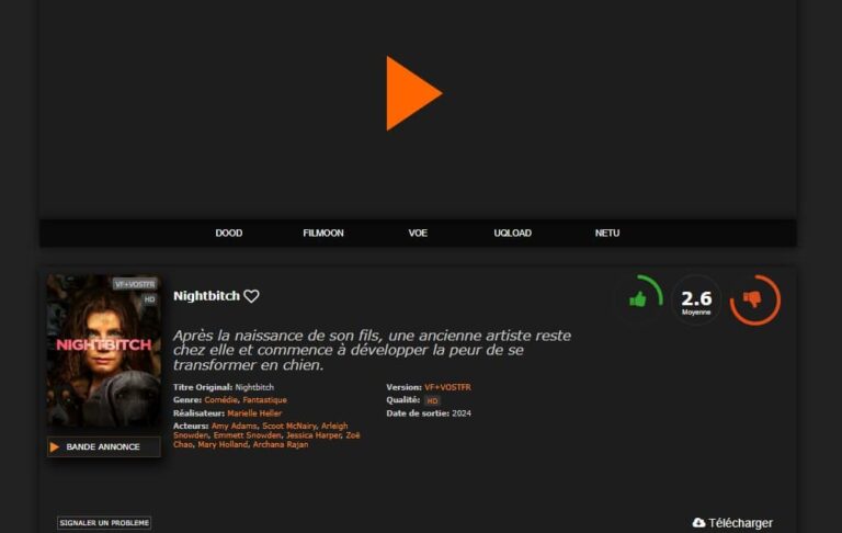 French Stream : quelle est l'adresse pour y accéder