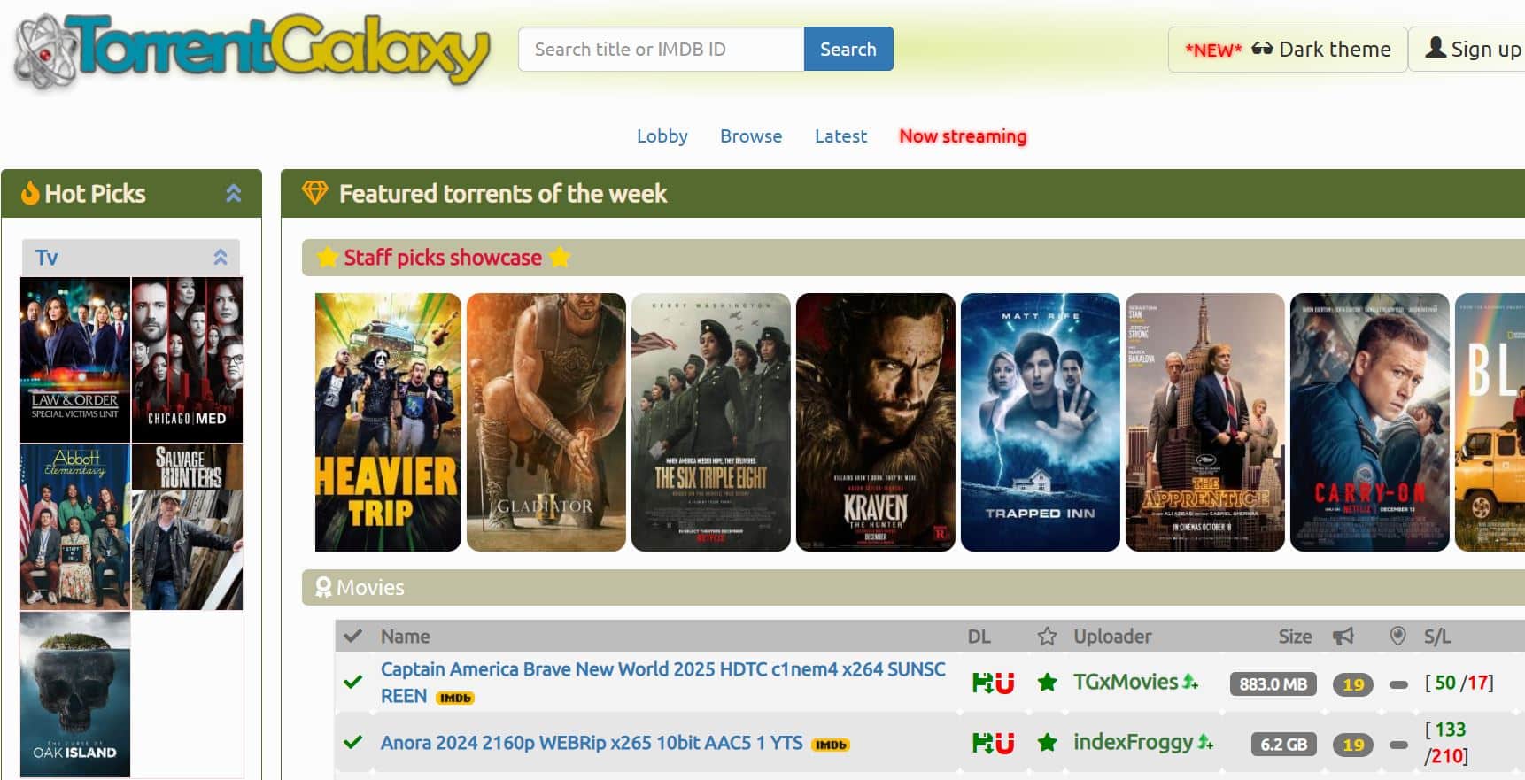 TorrentGalaxy, voici l'adresse actuelle
